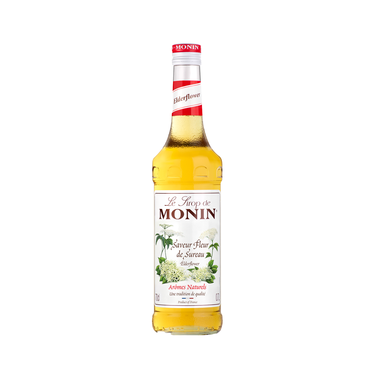Monin Bazga sirup 0,7l - Drinks.hr